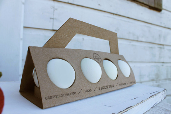 20+ Inspirational Egg Carton Designs