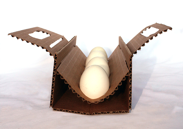 20+ Inspirational Egg Carton Designs