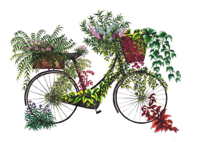 Selected Illustrations by Maria Wisniewska | Design & Paper