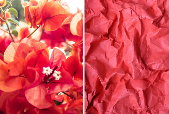 Design and Paper | A community of paper-lovers, where we share our ...