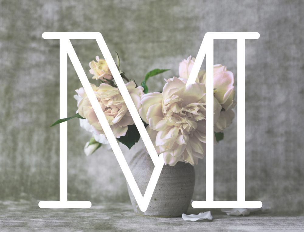 10 Free Contemporary Typefaces for Designers to Download