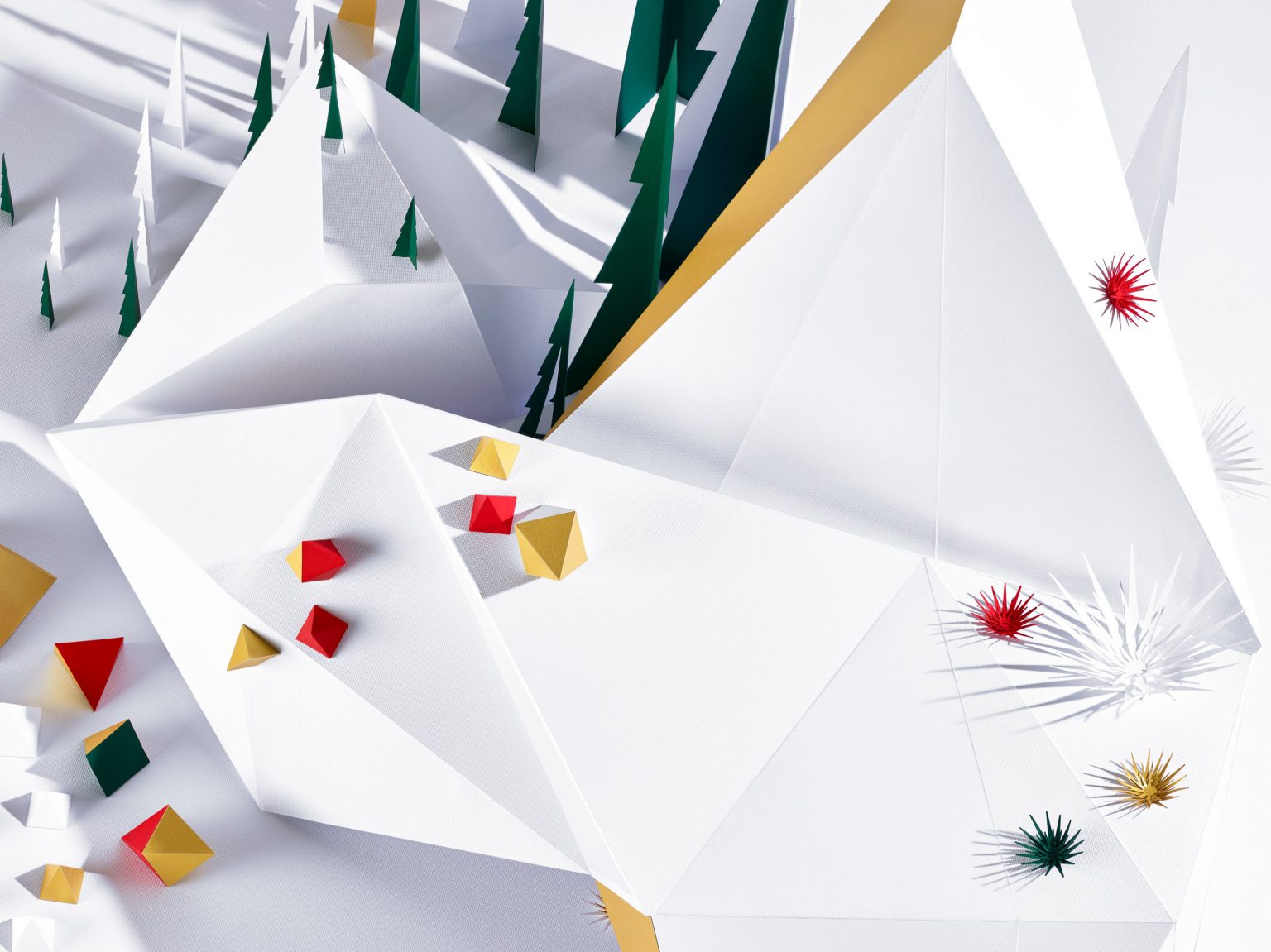 Lisa Lloyd Expresses the Beauty of Nature with Paper | Design & Paper