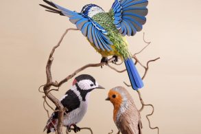 Lisa Lloyd Expresses the Beauty of Nature with Paper | Design & Paper