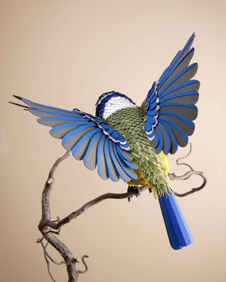 Lisa Lloyd Expresses the Beauty of Nature with Paper | Design & Paper