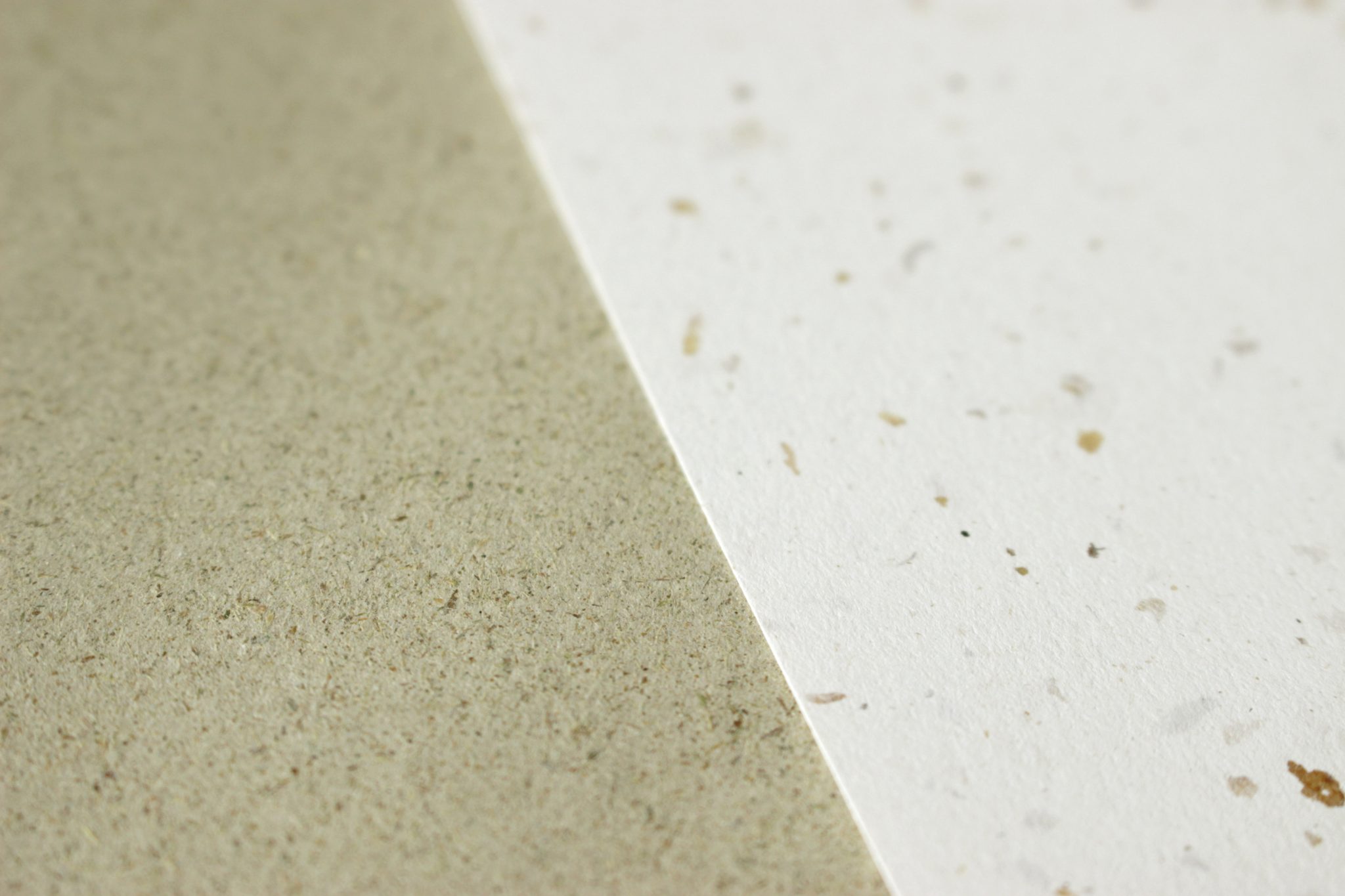 Meet SH Recycling Grass & Kaffee Papier Recycelt: a Europapier Story ...