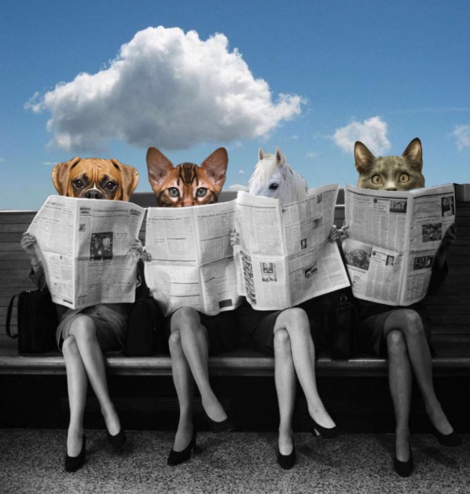 32 Thrilling Collage Artists You Should Be Following On Instagram Right ...