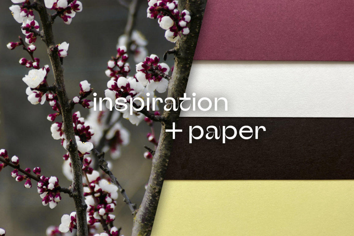 10 Incredible Paper Artists from Europe - Design & Paper