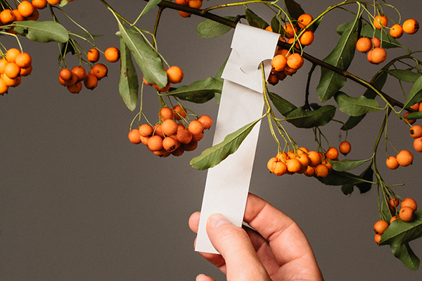 The Psychology Behind Millennial Green And What It Offers For Brands ...