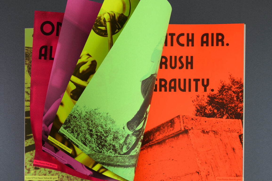 Japanise Sculptor Monami Ohno Turns Cardboard Into Jaw-Dropping Works ...