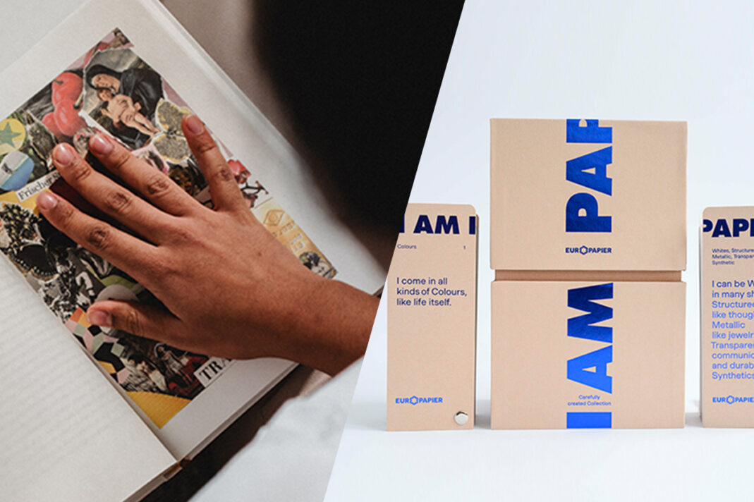 Japanise Sculptor Monami Ohno Turns Cardboard Into Jaw-Dropping Works ...